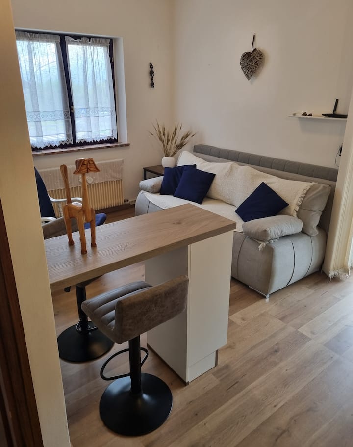 La Casa Degli Sbilfs - Wi-fi, Netflix E Garage Box - Ravascletto