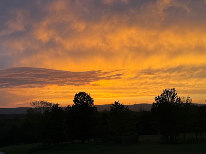 Bear Foot Lodge - Carbondale, PA