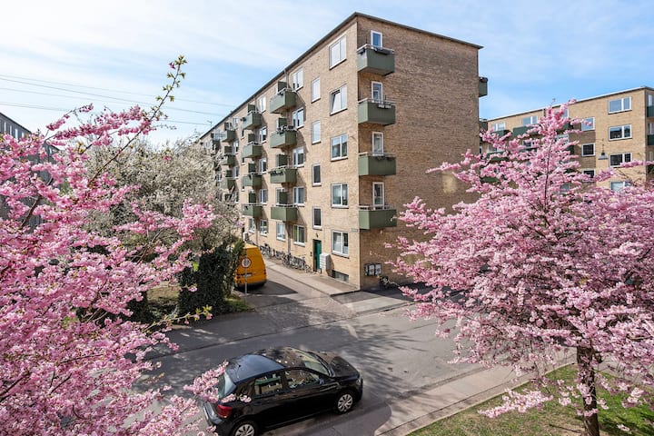 Bright Nordic Flat In Hip Nv Cph - Copenhagen