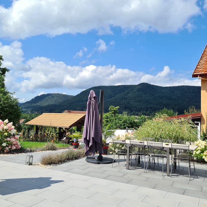 Grande Ferme Idéale Pour Groupe - Saint-Dié-des-Vosges