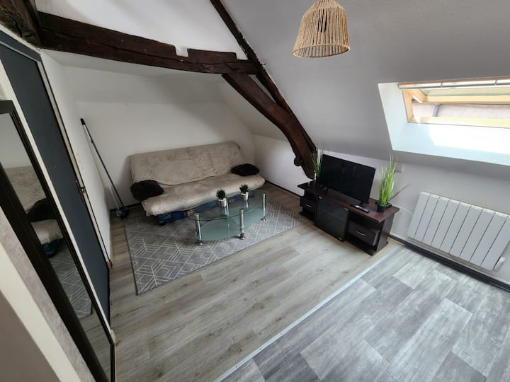 L'appartement D'edmond Bour - 格雷
