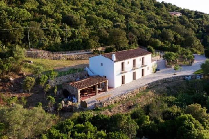 Villa L' Altra Casa - Arzachena