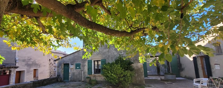 Bien-être Et Maison De Village Au Cœur D'aurel - Sault
