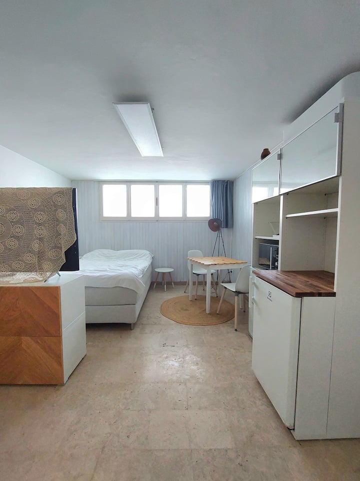 Petit Biscuit Studio Appartment - Viareggio