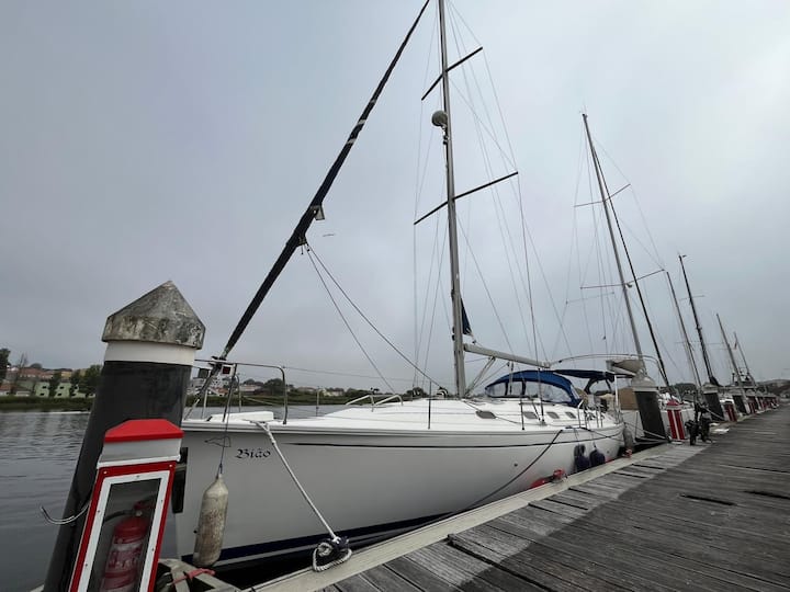 Barco Bião - Vila Do Conde - Árvore