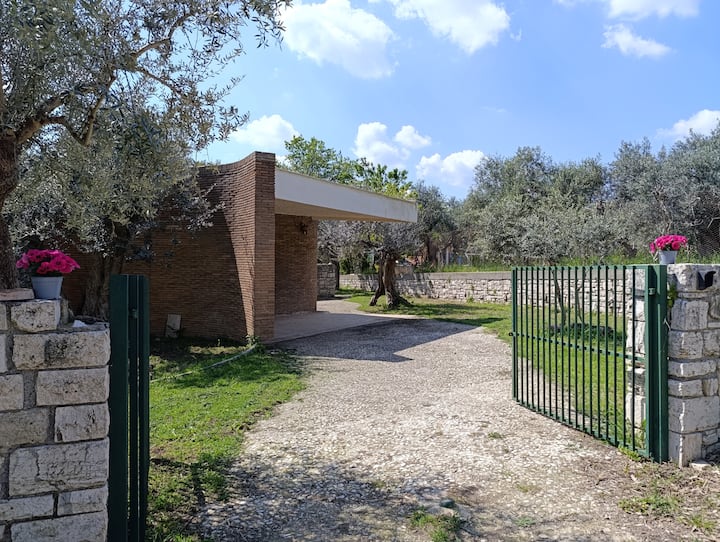 Casa Fra Gli Ulivi - Tivoli