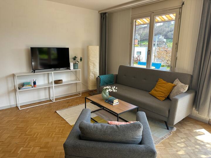 Cozy Flat With Large Terrace And Free Parking - Weggis