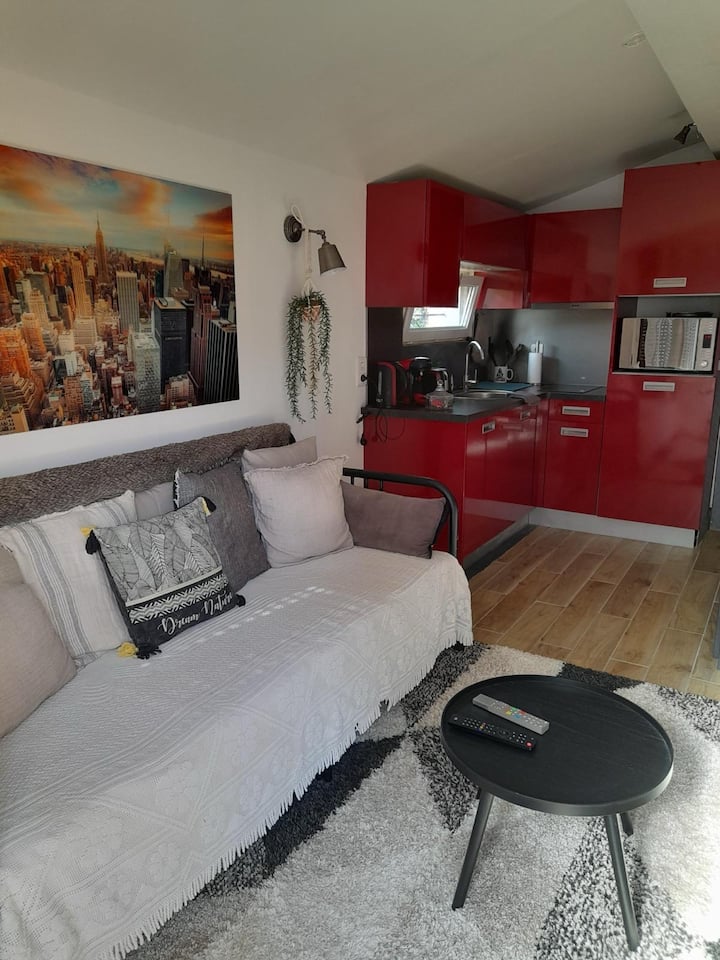 Appartement Proche Gare - Saint-Michel-sur-Orge
