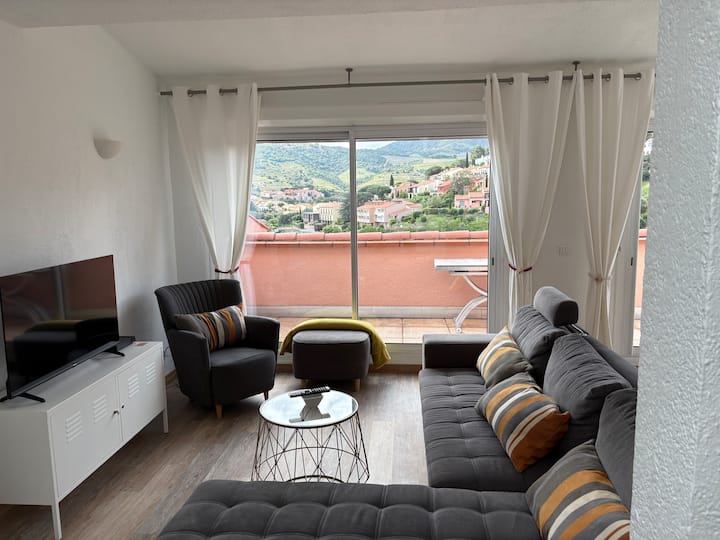 C407 : Collioure T3 Avec Parking / Wifi / Clim - Colliure
