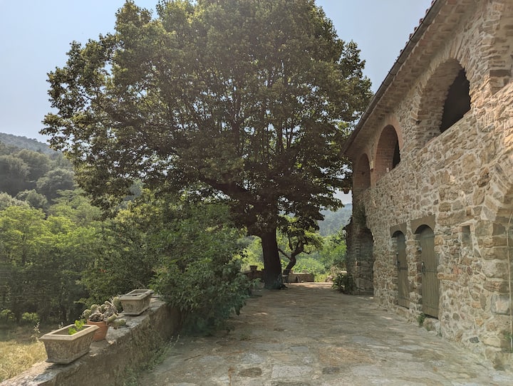 Mas Cévenol En Pleine Nature - Alès