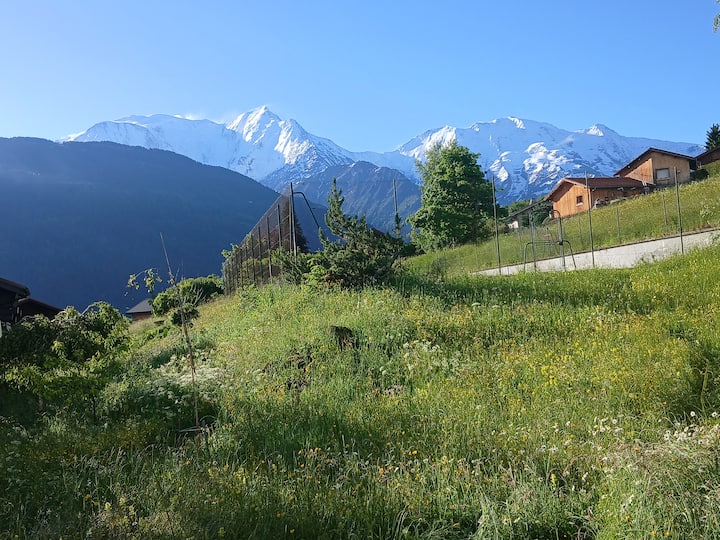 Idéal Pour Réunir Des Familles - Megève