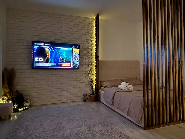 Central Cozy Nest - Timișoara