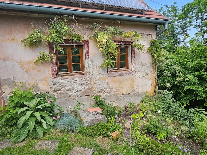 Chambre Chez L'habitant - Riquewihr