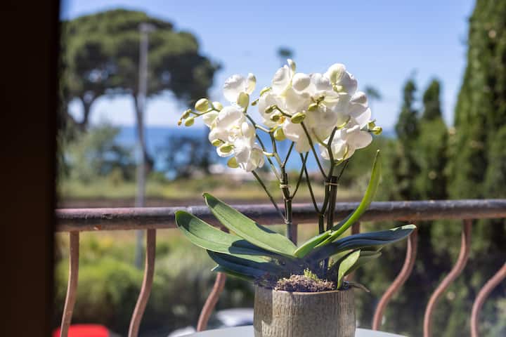 Chambre Avec Balcon - Antibes
