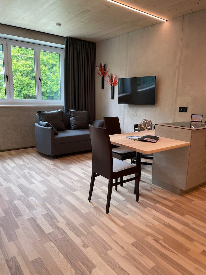 Hohenstoffeln / Deluxe Apartment - Singen