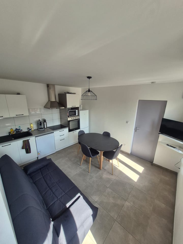 Appartement T2 Cosy éQuipé - Albi