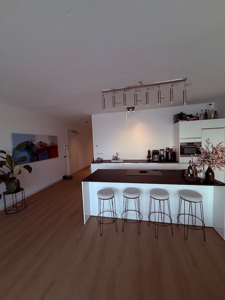 Luxury Apartment 200m2 Long Stay - Eindhoven