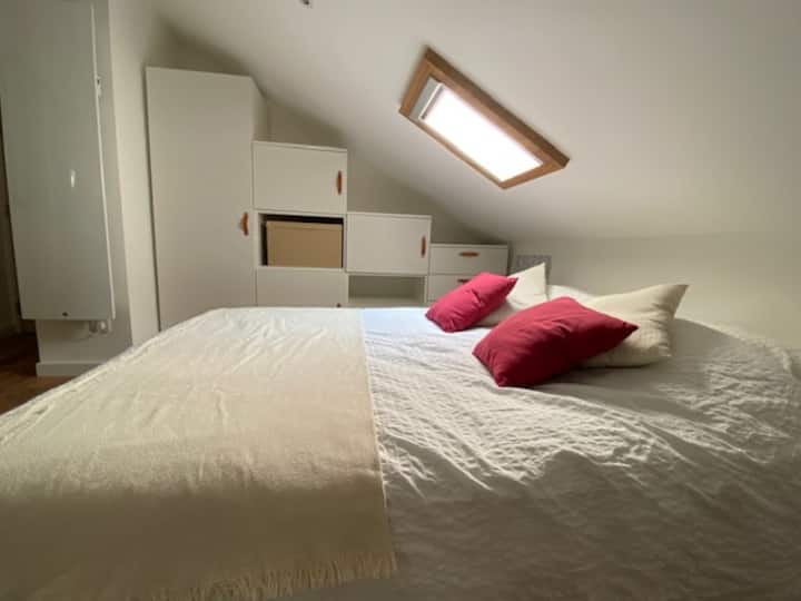 Vichy Hypercentre - Vichy