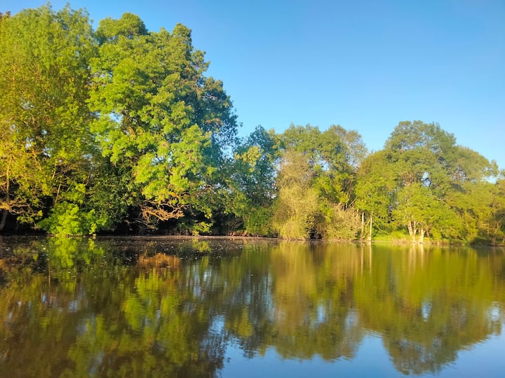 Soleil Couchant Sur La Sèvre - Clisson