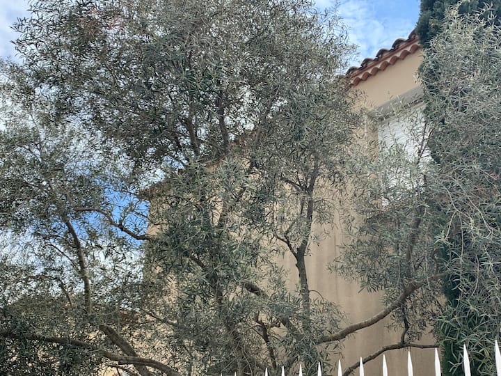 Villa Grau Du Roi 12 Personnes - La Grande-Motte