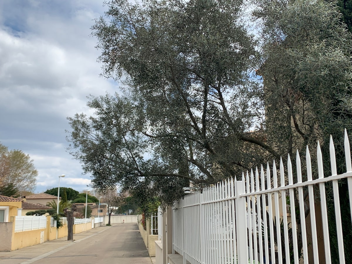 Villa Grau du Roi 12 people - Houses for Rent in Le Grau-du-Roi ...