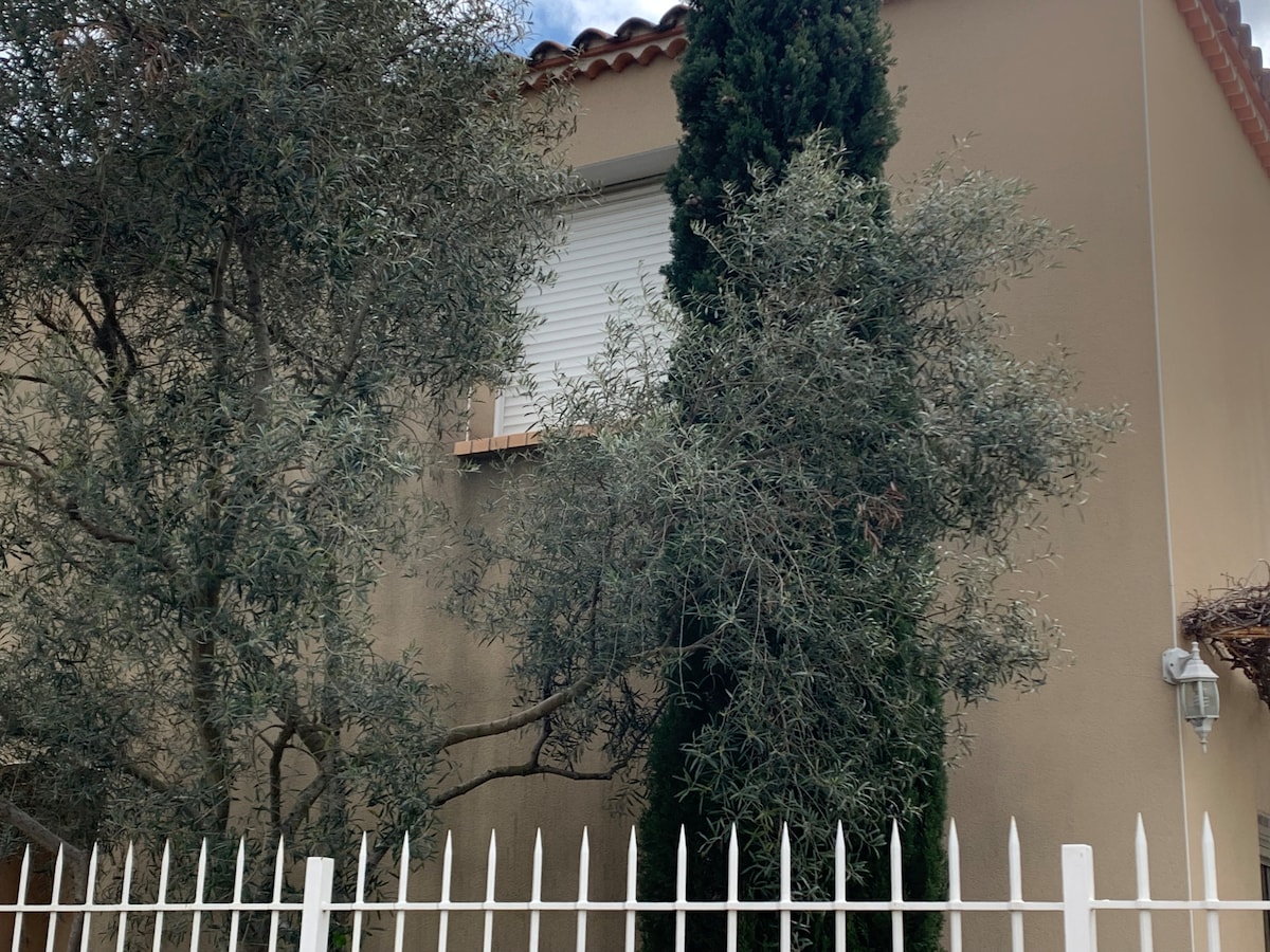 Villa Grau du Roi 12 people - Houses for Rent in Le Grau-du-Roi ...