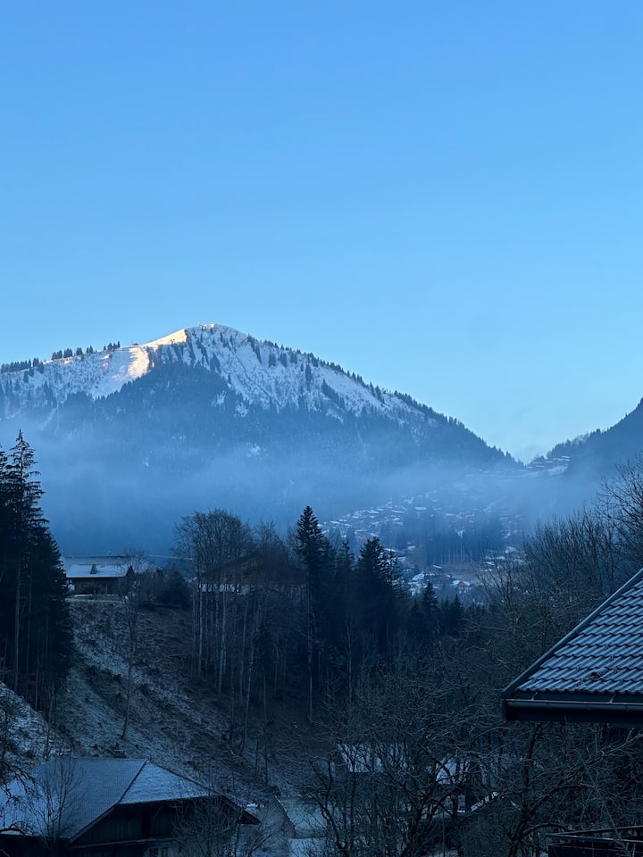 Très Beau Chalet Neuf Montriond Proche Morzine - Avoriaz