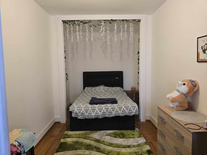 Grande Chambre Au Bord Du Lac ! - Vevey