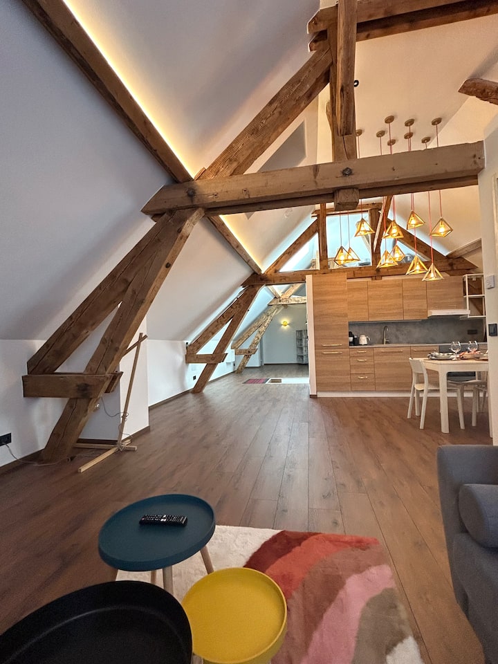 Chic Et Cosy Avec Clim, Au Pied Du Mont-blanc - Sallanches