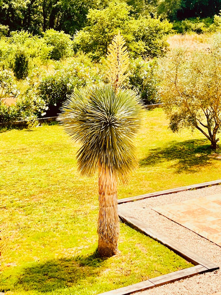 Villa Exclusive Piscine Privée - Les Arcs