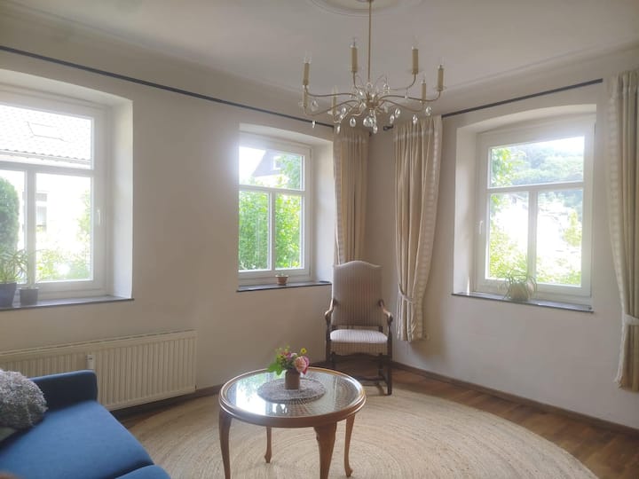 Altbauwohnung "Tor Zur Eifel" - Schweich