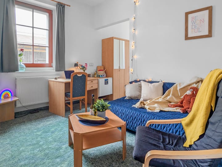 Central Studio - With Sofa & 2 Single Beds - Freiberg