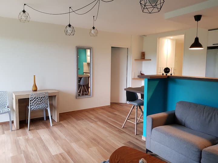 Joli T2 Avec Jardin Privatif - Bayonne