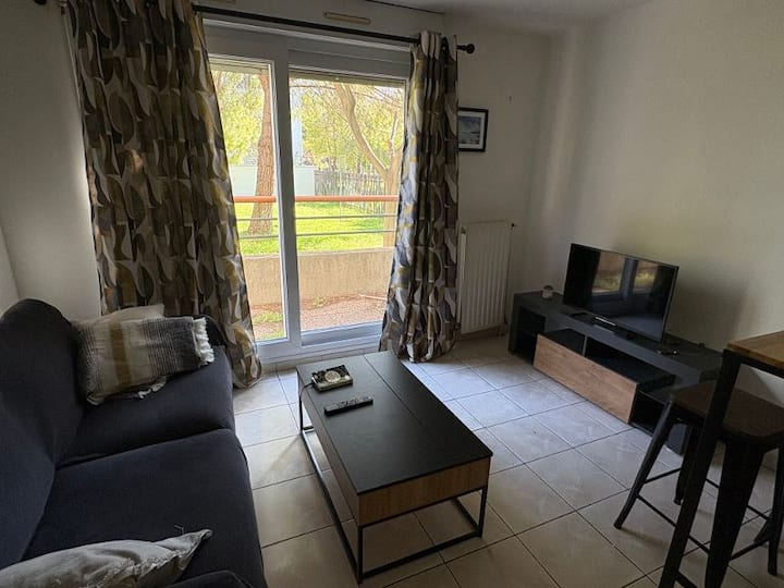 Bel Appartement Rives Du Lez - Montpellier