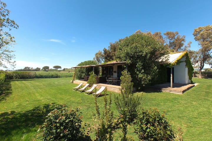 Piccolo Cottage Mare - Capalbio