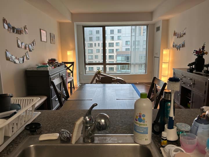 1br Apt @ Mit + Study - Boston, MA
