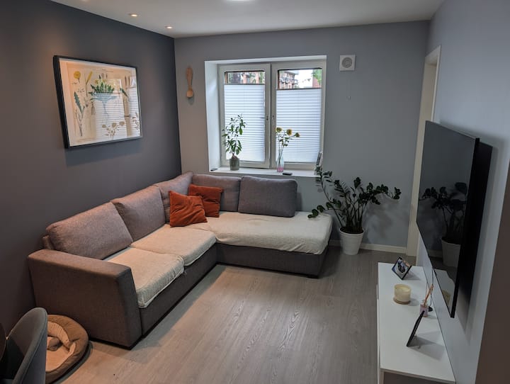 Sentral 3-roms På Carl Berner - Oslo