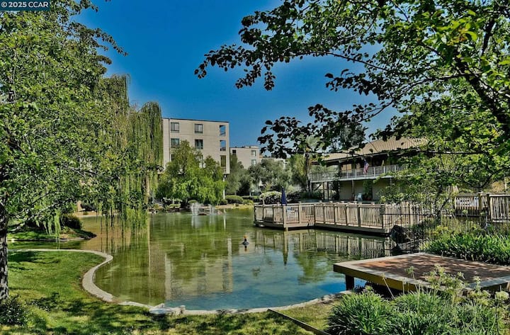 Stylish Condo In Walnut Creek - Walnut Creek, CA