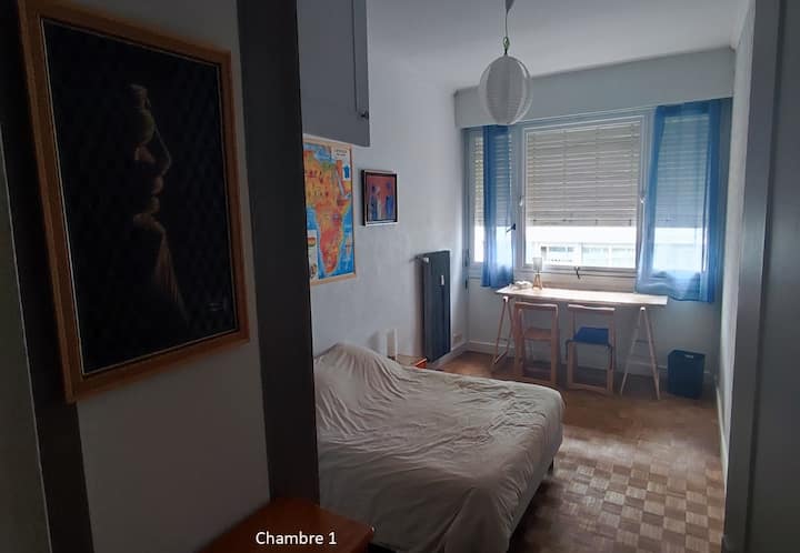 Chambre 1 En Coloc Angers Centre - Angers