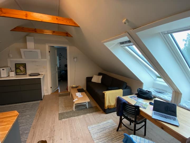 Modern Och Fräsch Vindslägenhet - Jönköping