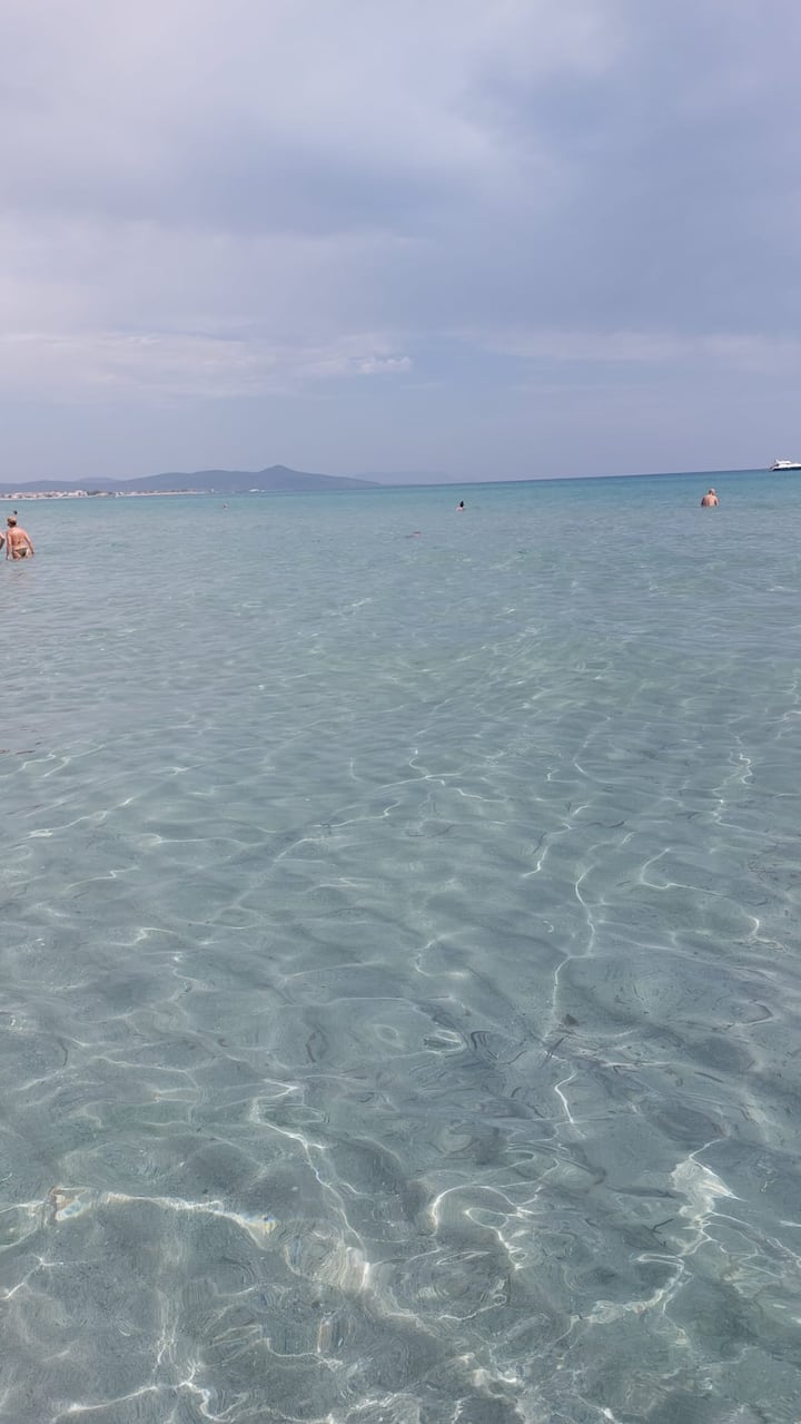 Siniscola
Casa Vacanze "Furreddu" - Siniscola