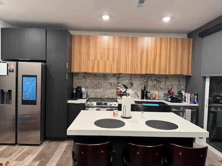 Luxury Apartment In Soulard - St. Louis, MO