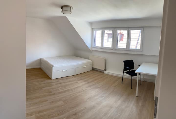 Renoviertes Zimmer Am Neckarufer - Heidelberg