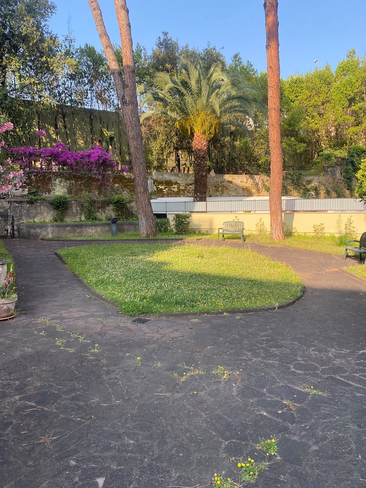 Vaticanrhome I - Rome