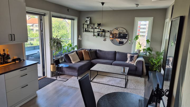 2-room, 18m2 Terrace And Parking - Oslo