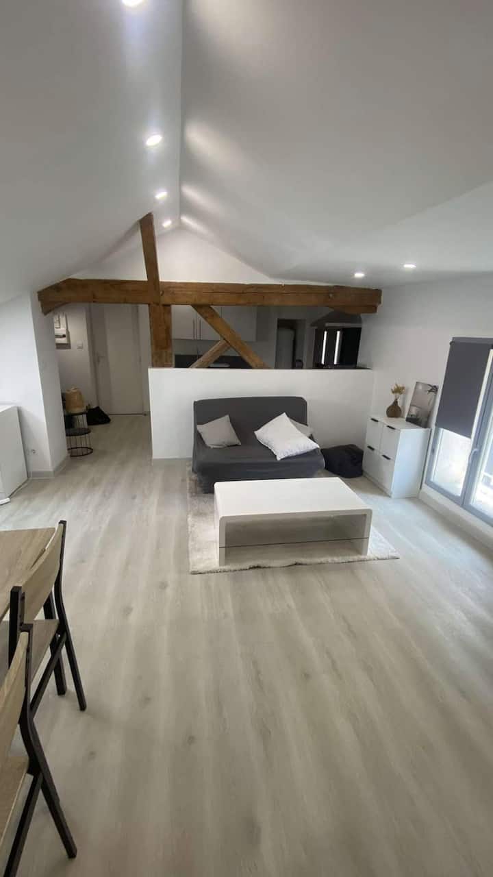 Appartement Centre-ville - 貝濟耶