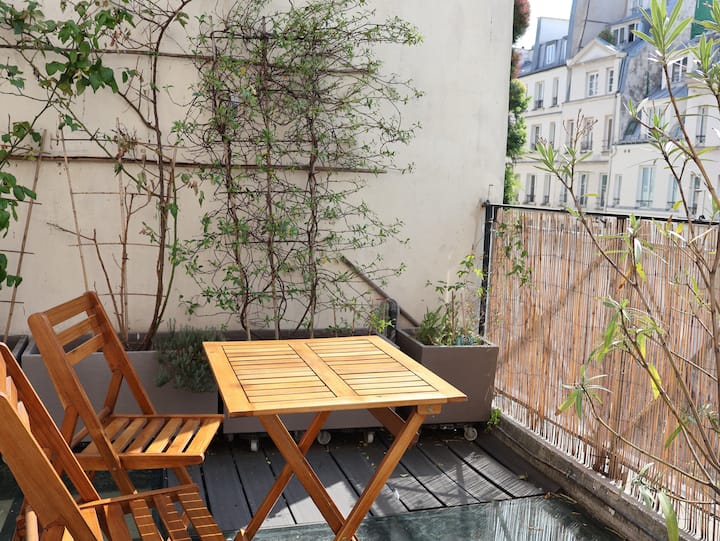 Bel Appartement Avec Terrasse - Place de la République