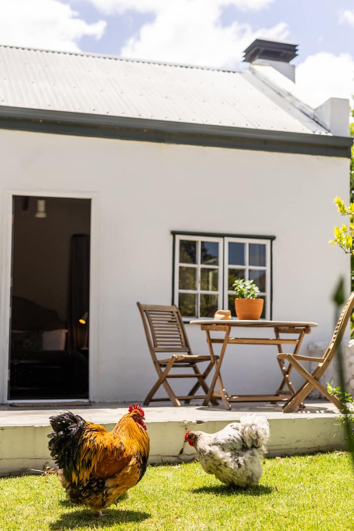 De Kippe Cottage - Rawsonville