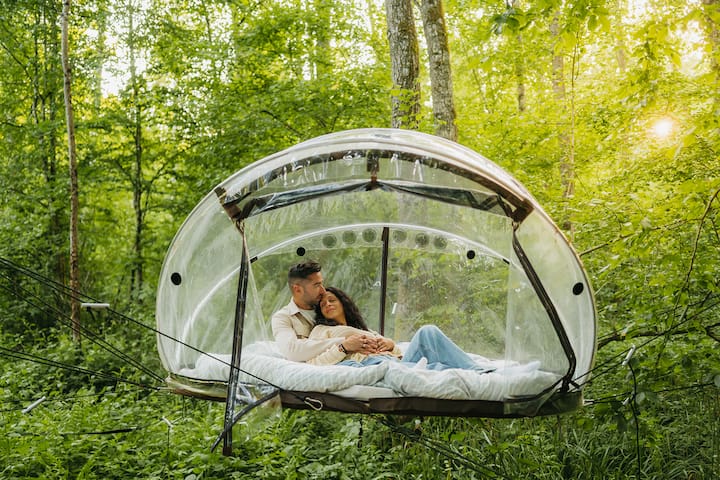 La Bulle Des 5 Mésanges - Ardennes