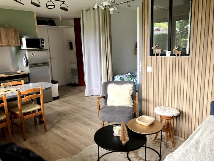 Charment Appartement - Praz-sur-Arly